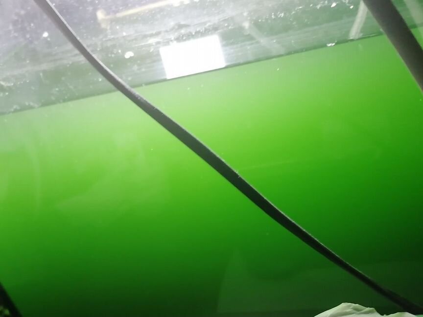 Тетраселмис