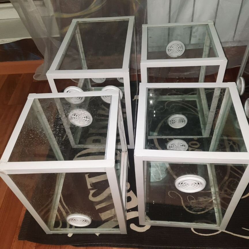 Террариумы для рептилий, пауков