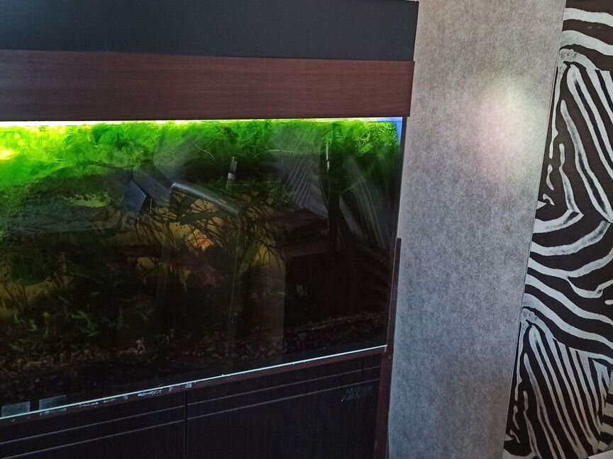 Продам аквариум с оборудованием