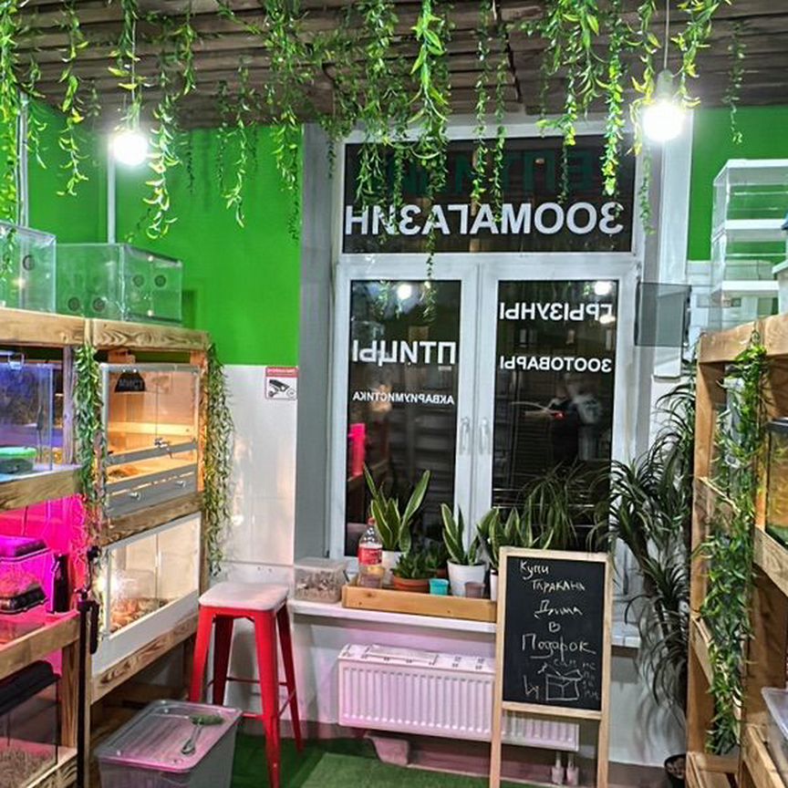 Б/у террариумы