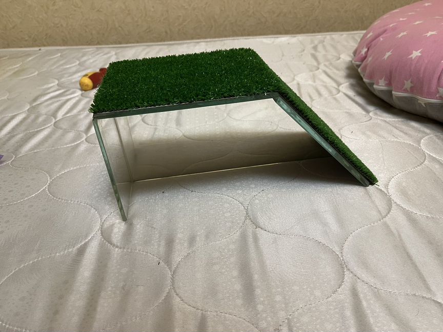 Мостик для черепах