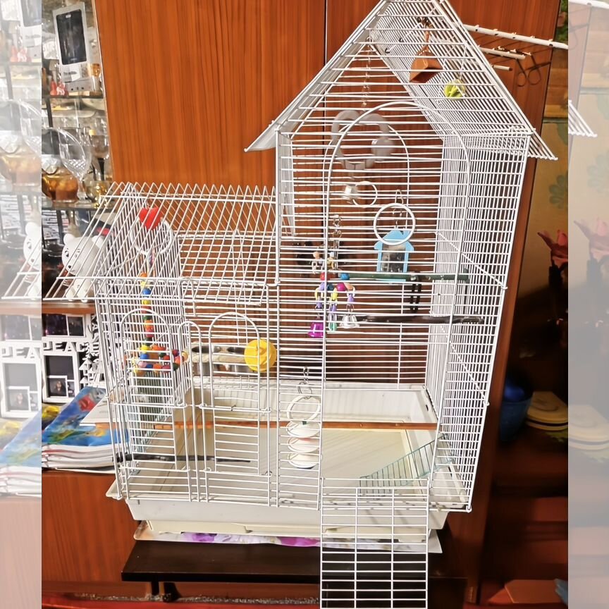 Клетка большая