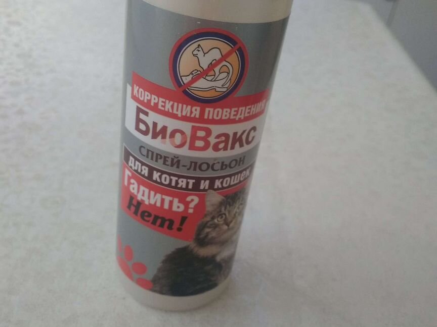Приучить котенка к туалету