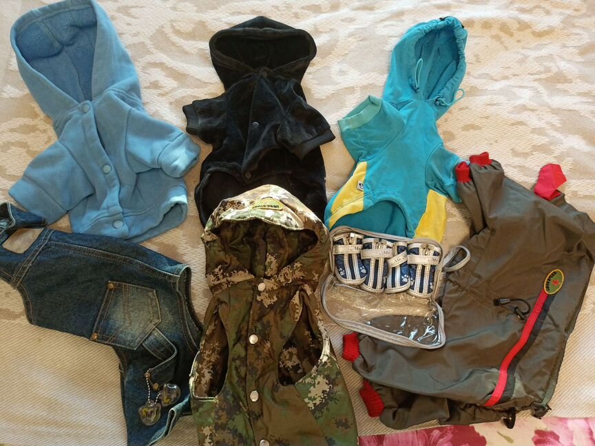 Вещи для собак пакетом