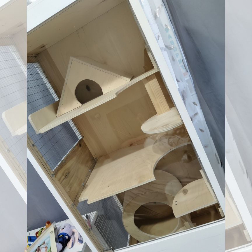 Витрина для шиншиллы