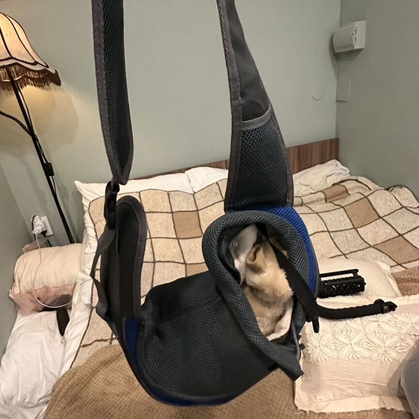 Сумка для собак