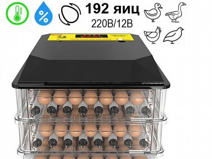 Автоматический инкубатор для яиц sititek 196