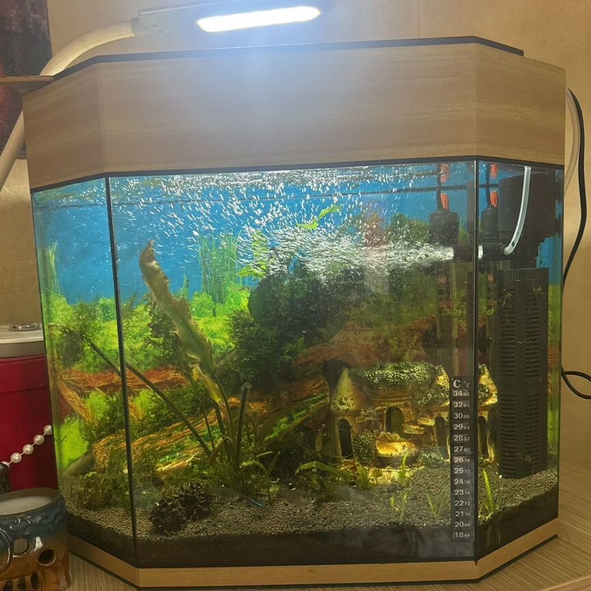 Аквариум