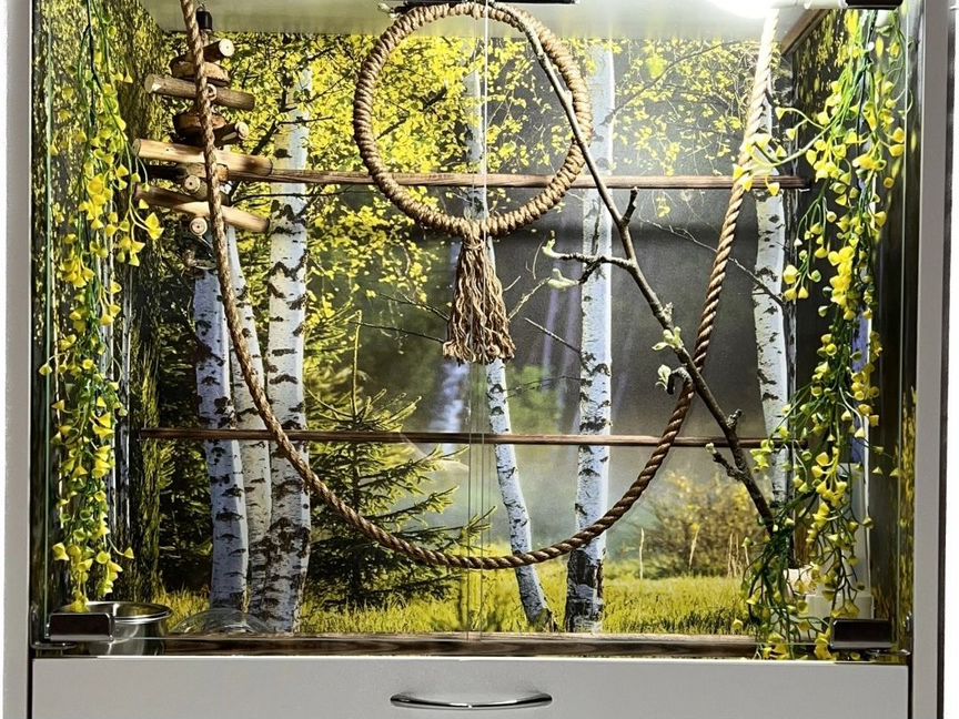 Авиарий (вольер для попугаев)