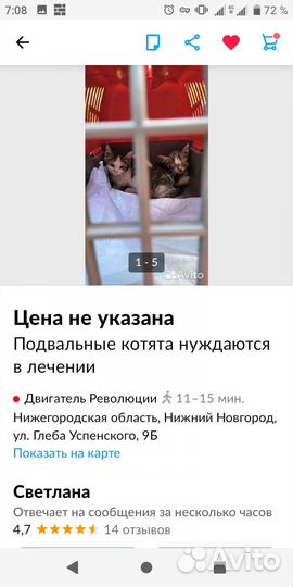 Подвальные котята SOS