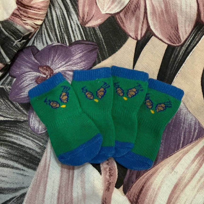 Носки для собак