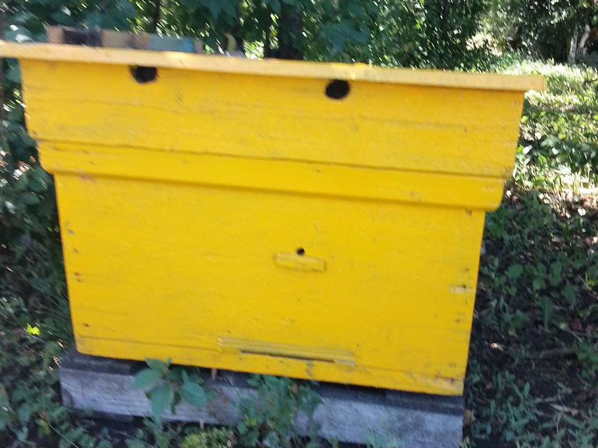Улей для пчел бу
