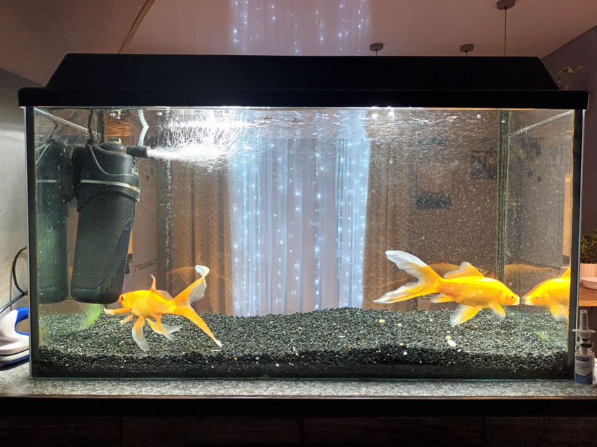 Аквариум с рыбками