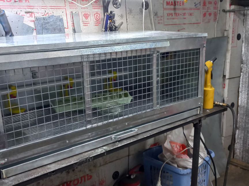 Брудер для цыплят оцинкованный