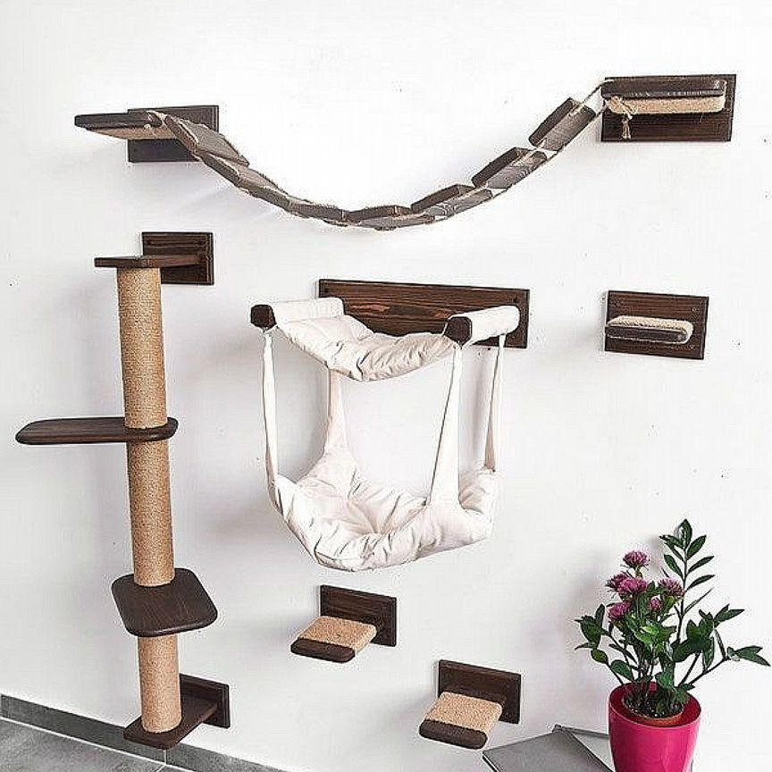 Комплекс для кошек