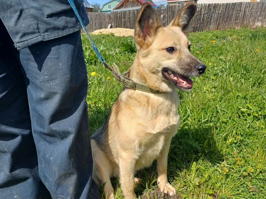 Миниатюрная красотка 7 мес