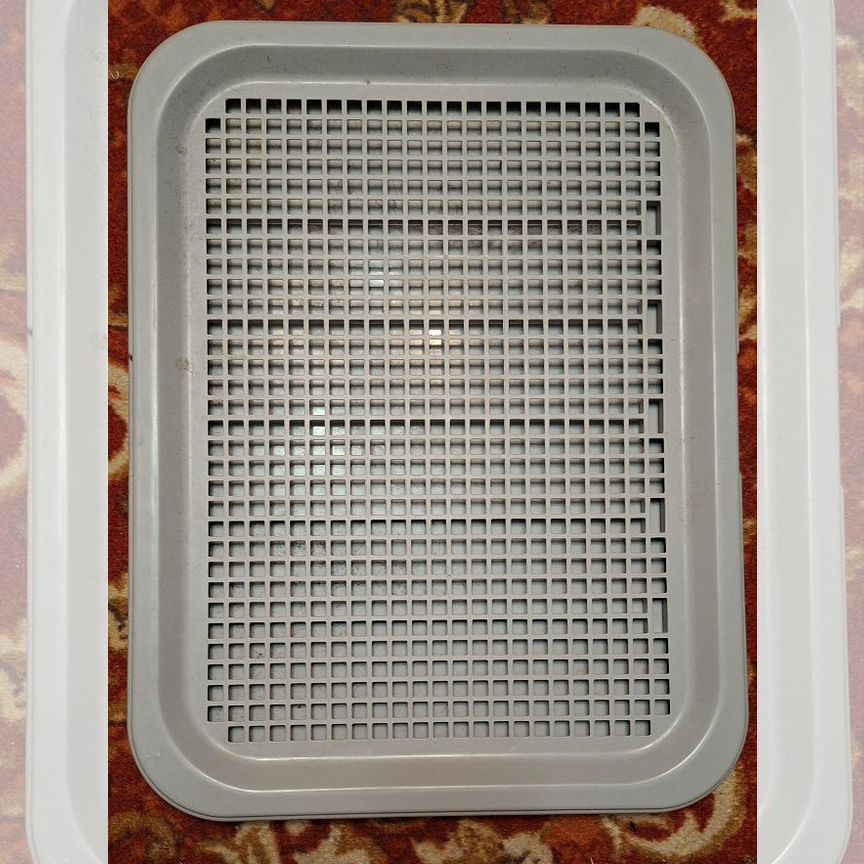 Лоток для животных