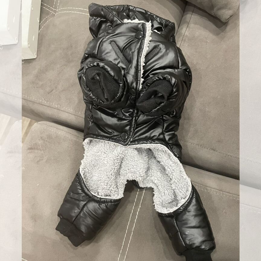 Одежда для собак