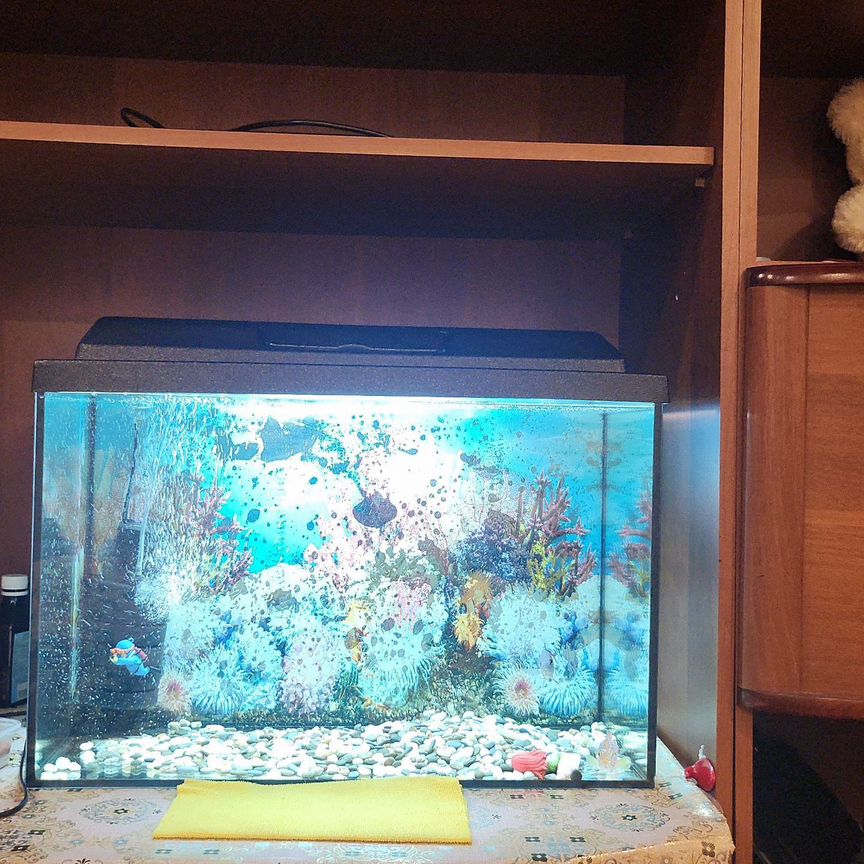 Аквариум 70 литров