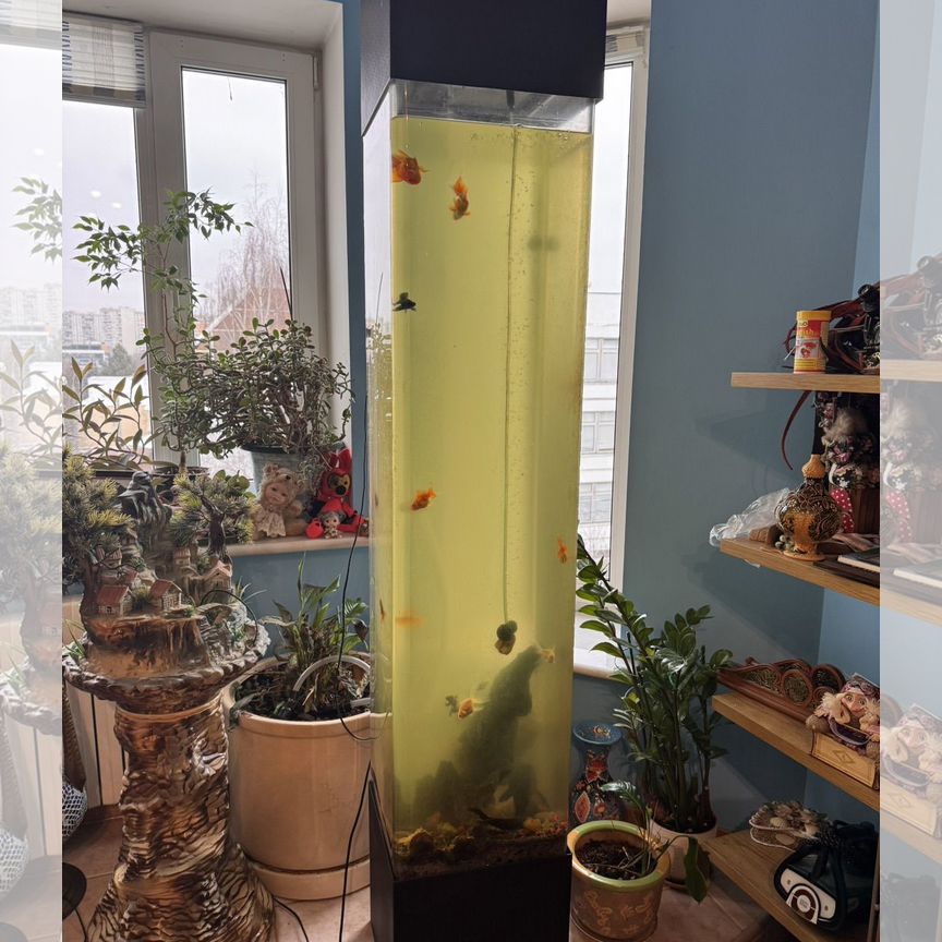 Интерьерный аквариум