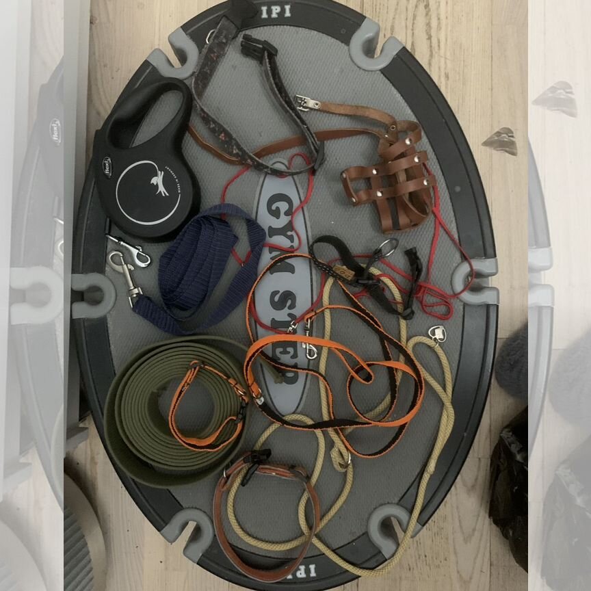 Рулетка флекси,4ошейник,4поводок,намордник