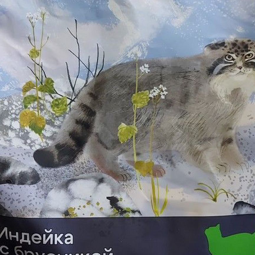 Корм для кошек Территория Место силы