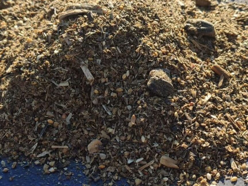 Отходы семечки