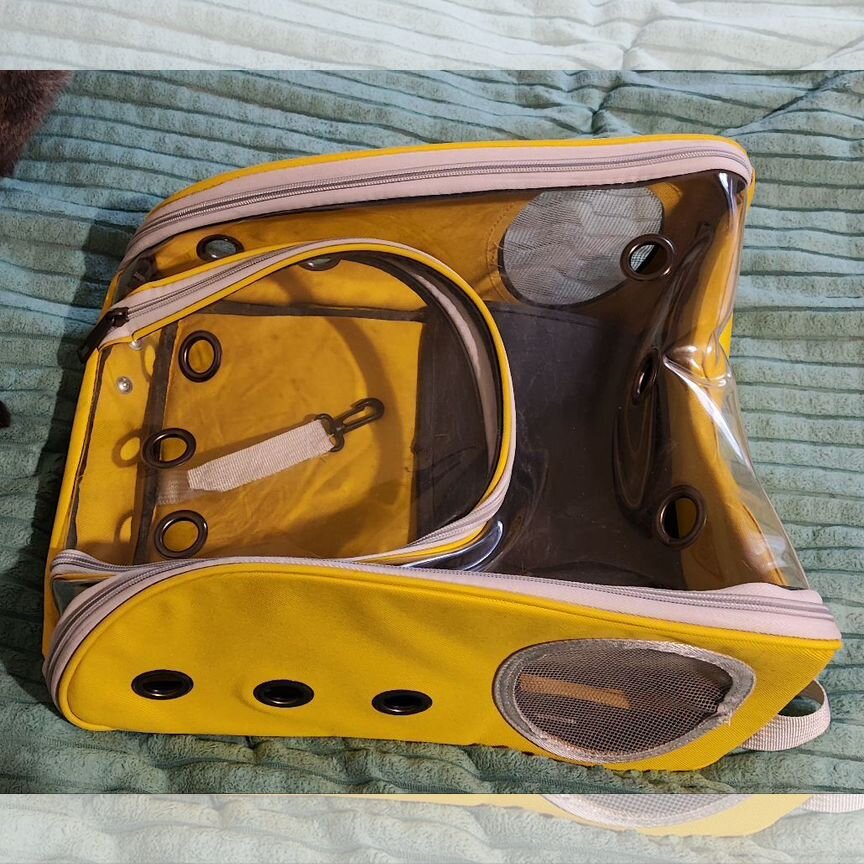 Принадлежности для собак мелких пород