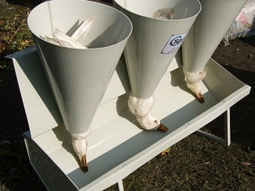 Стойка для убоя птицы