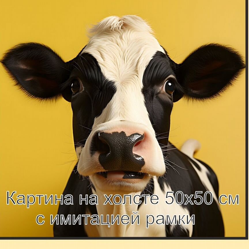 Картина на холсте "Корова" 50x50 см