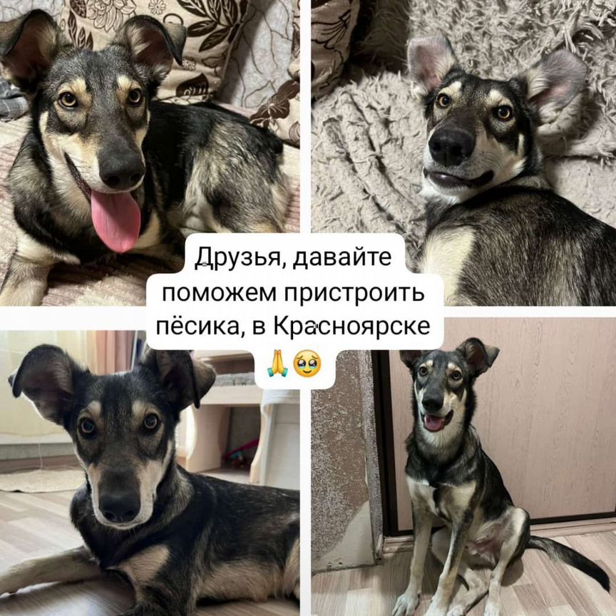 Мальчик 10 мес