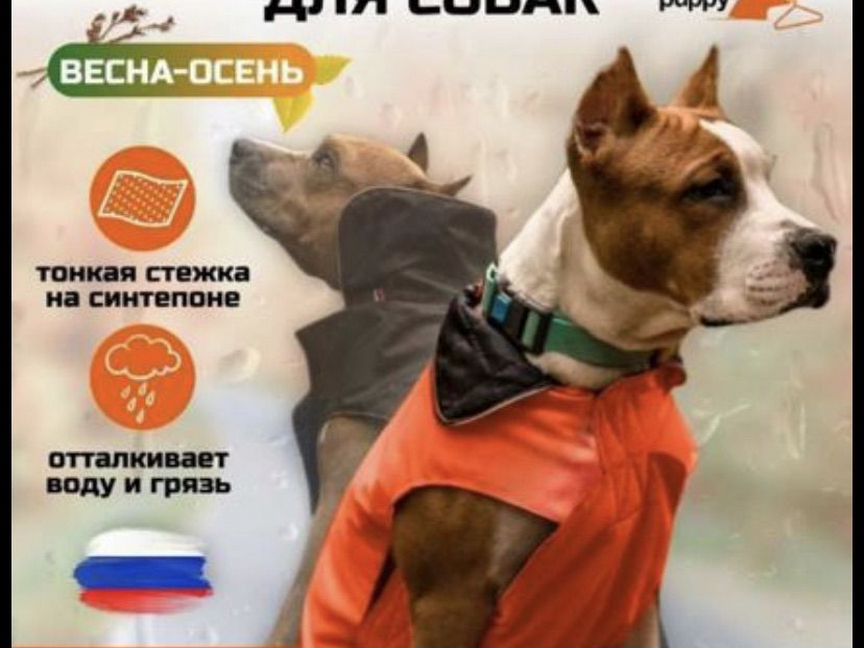 Попона (дождевик) для большой собаки
