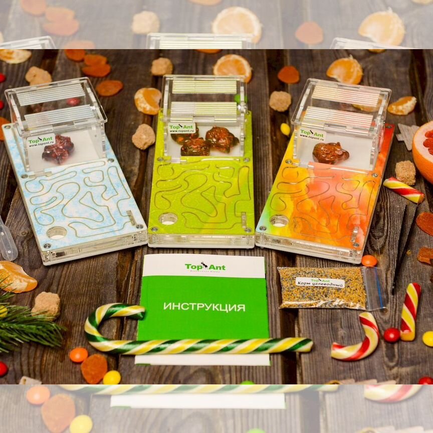 Формикарий/ Подарок для ребенка/ Муравьиная ферма