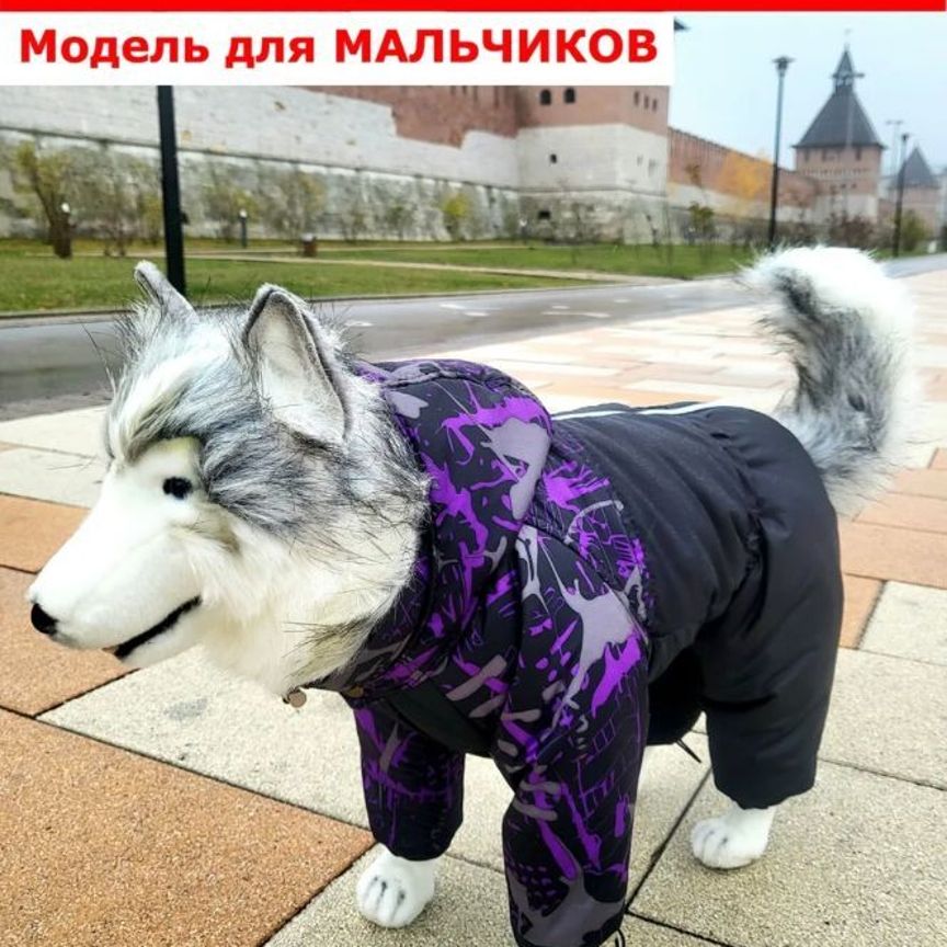 Зимний комбинезон для собачки, мальчика