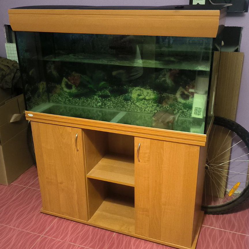 Аквариум 200 литров