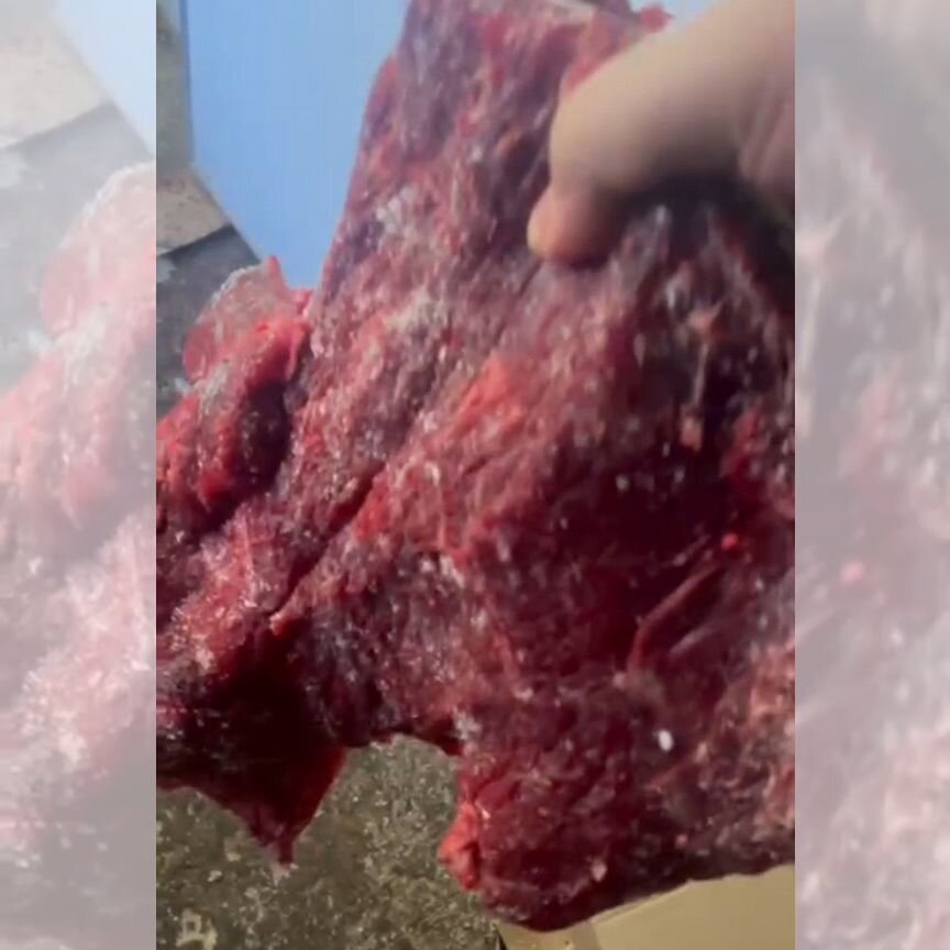 Мясо доя собак