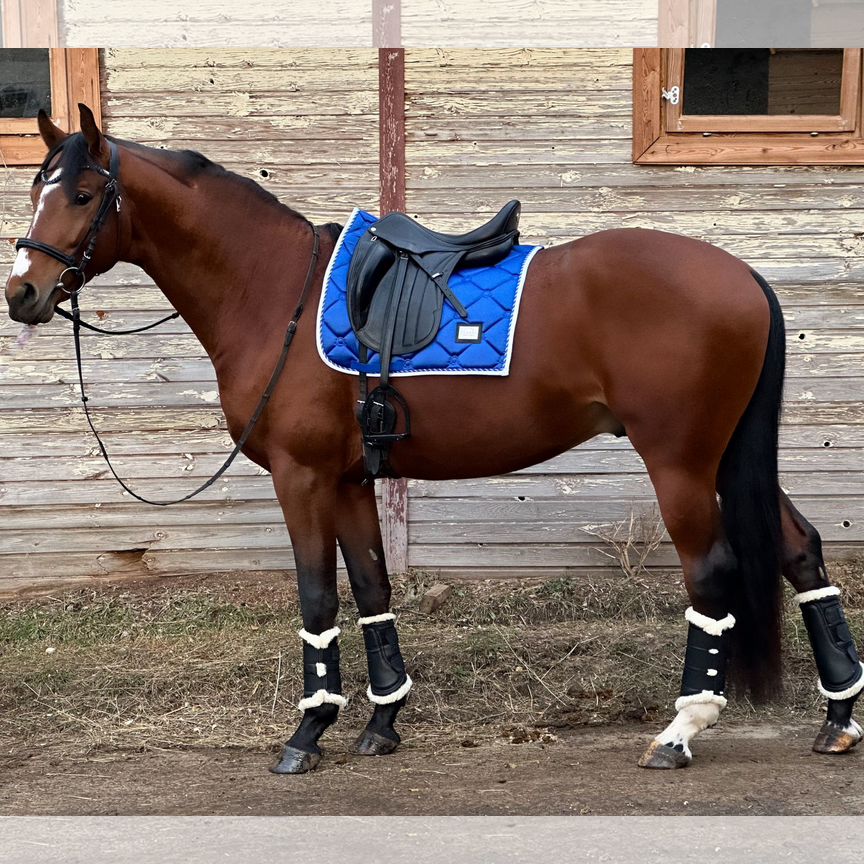 Комплект вальтрап ногавки меховые новое