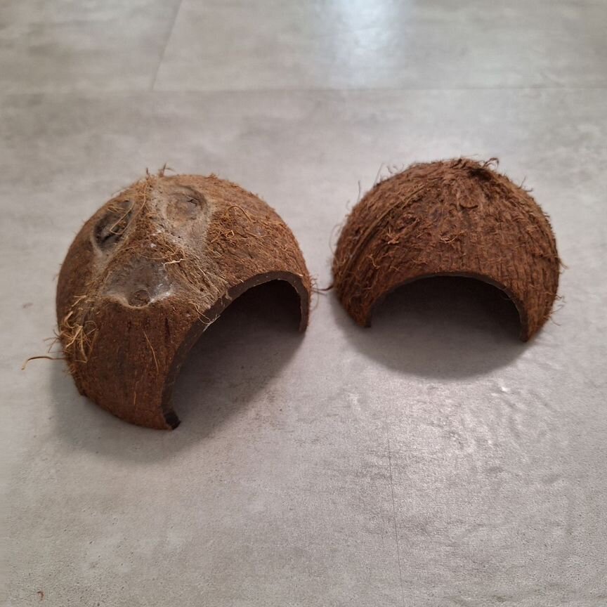 Декорации для террариума