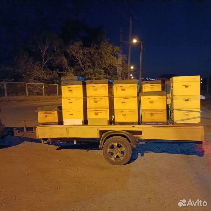 Продам пчелосемьи