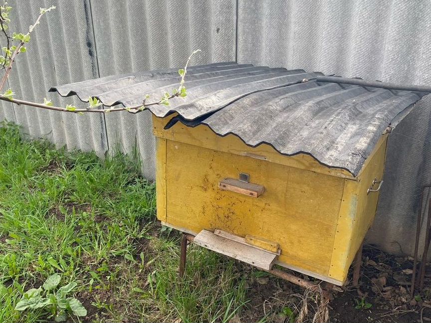 Улей для пчел
