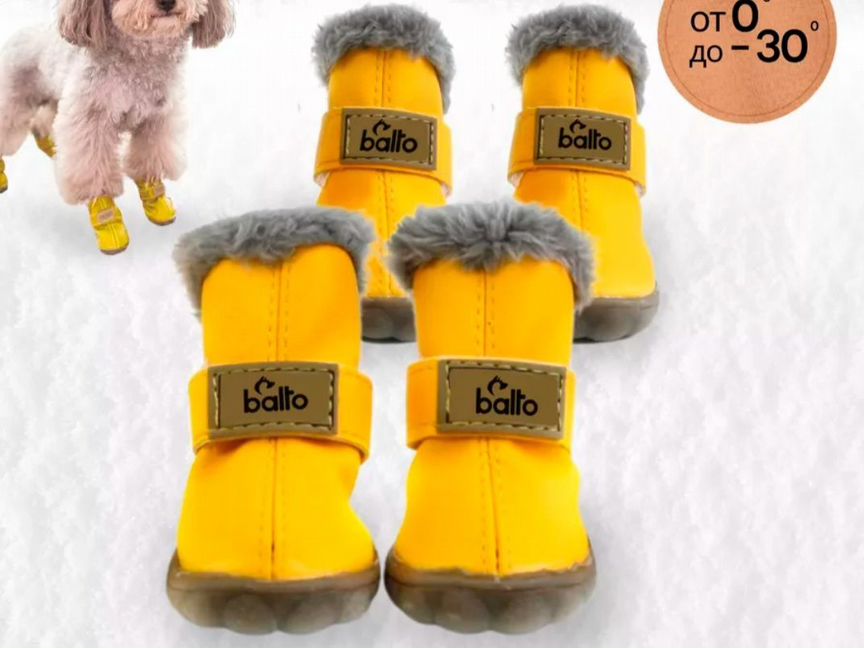 Ботинки обувь для собак