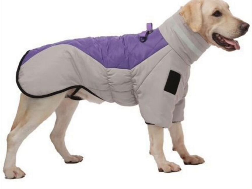 Попоны зимние для средней собаки Шлейка для собаки