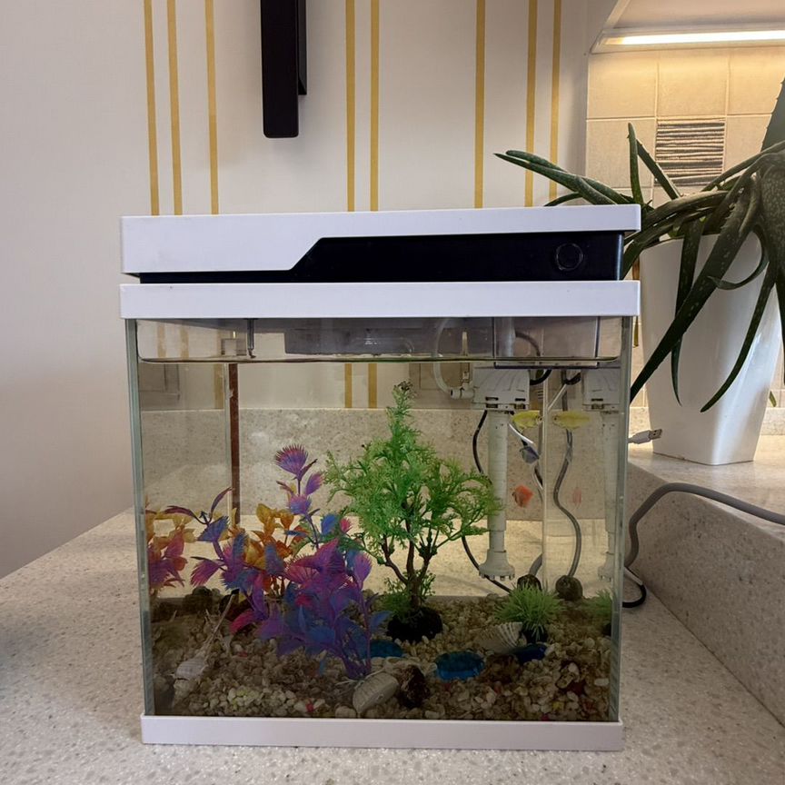 Аквариум с рыбками