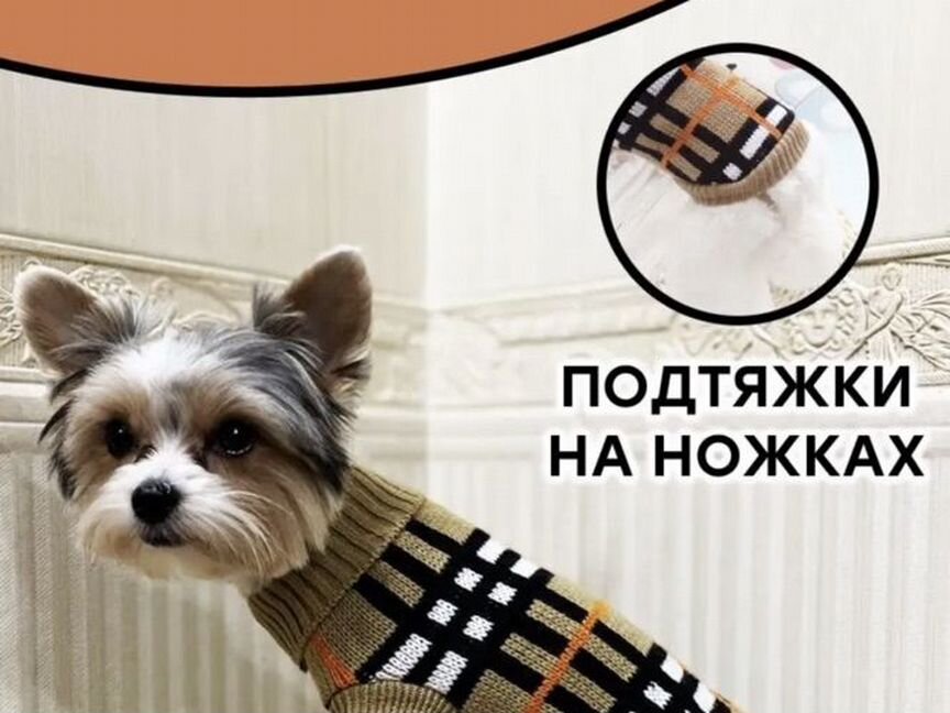 Теплый свитер для собаки