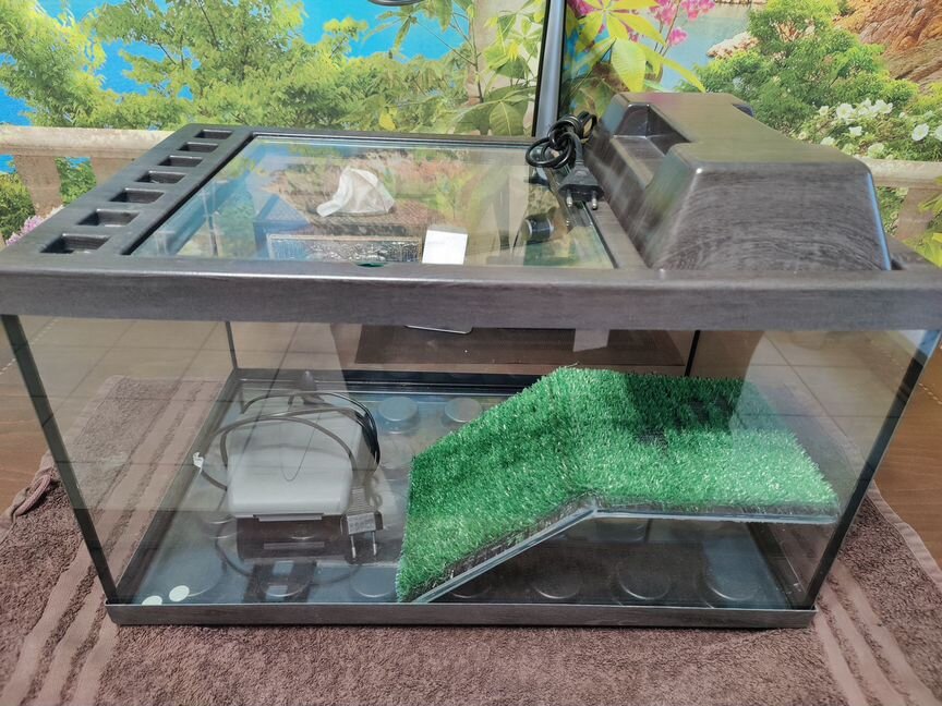 Акватеррариум с оборудованием