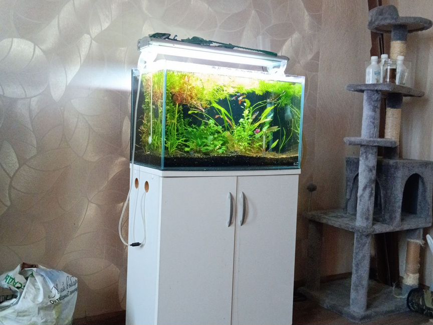 Аквариум 80 литров