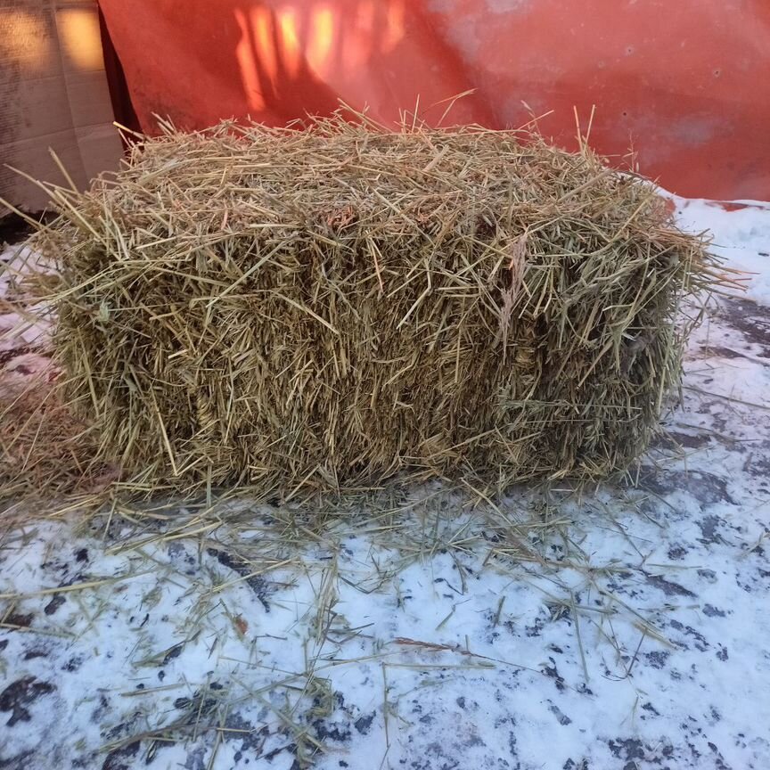Сено в тюках