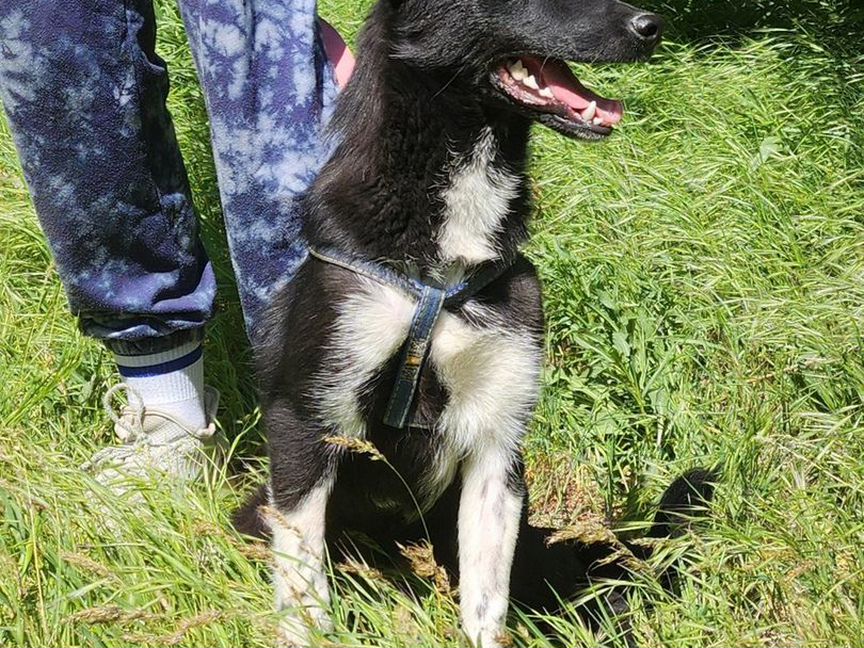 Красотка Джера