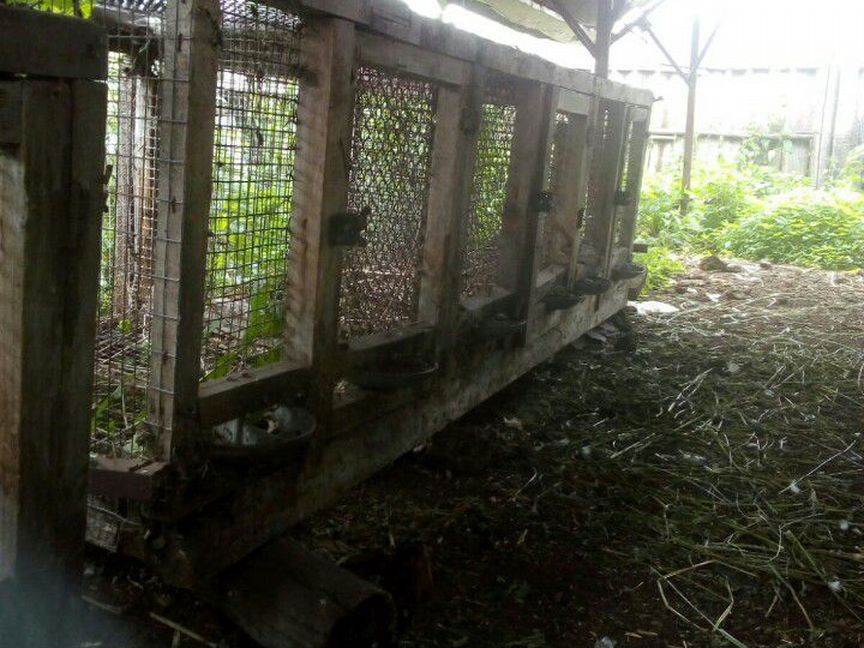 Клетки металлические