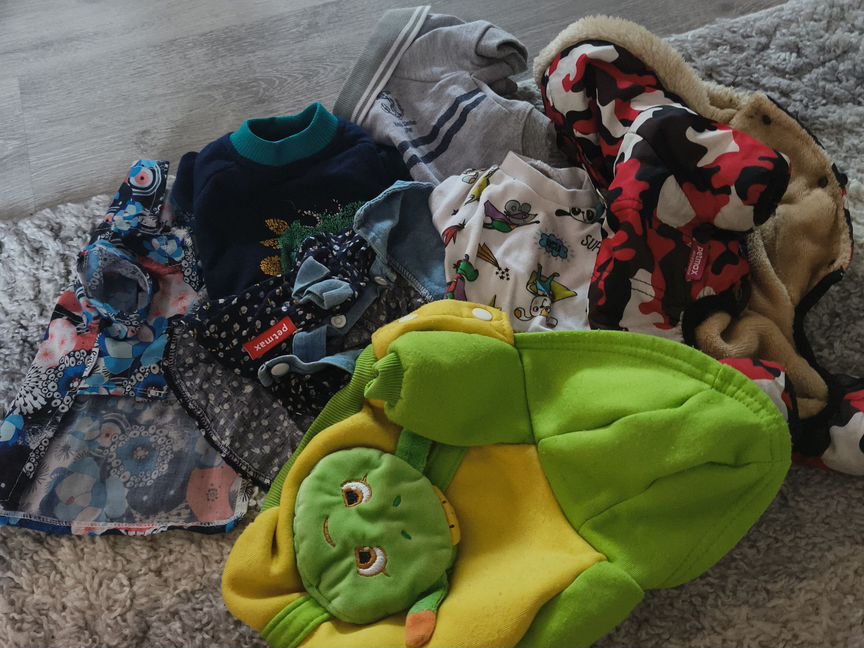 Вещи, на маленьких собак